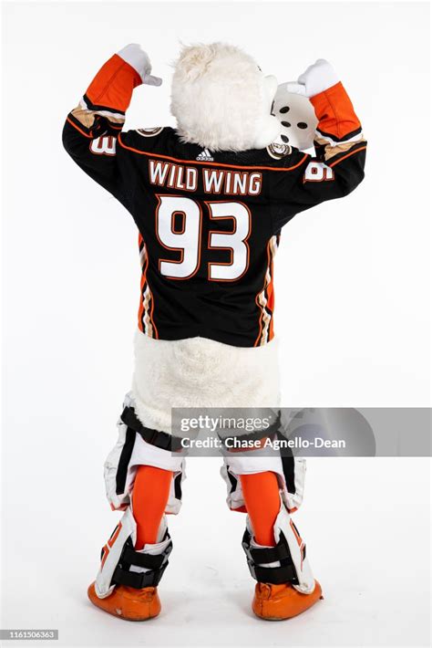 Anaheim Ducks Mascot Wild Wing Poses For A Portrait On August 13