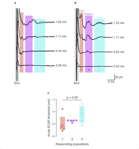 Recordings Of Electrically Evoked Neural Responses A Typically N Download Scientific