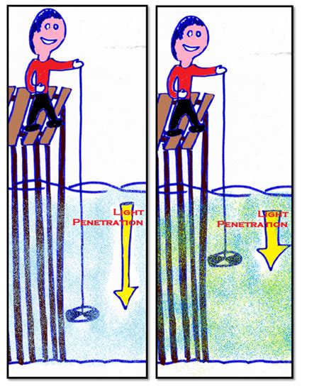 Measuring Water Transparency Citclops