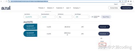 Jdk8 下载与安装教程，超简单版（mac M1） 知乎