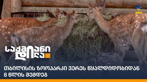 თბილისის ზოოპარკი ვერეს წყალდიდობიდან 8 წლის შემდეგ