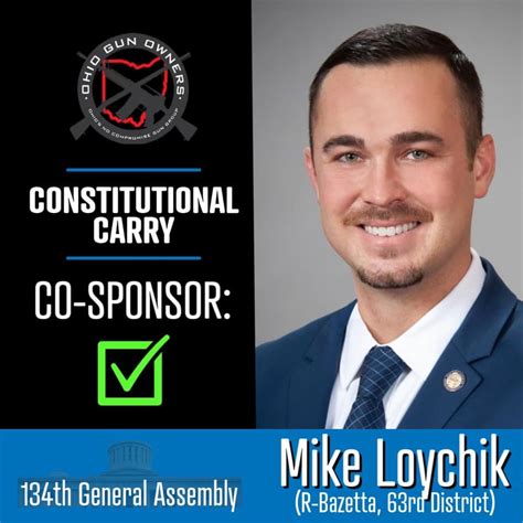 🇺🇸 Loychik Is Mike Loychik For State Representative Facebook