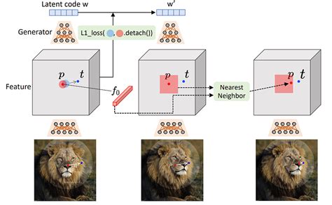 Image Manipulation With Your Mouse Drag Your Gan Explained