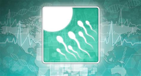 保卫精子，有一道 血睾屏障” 知乎