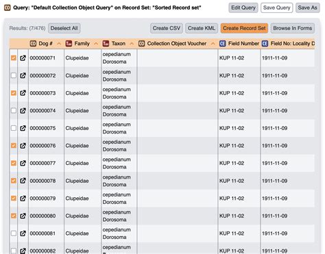 Create A Record Set From A Record Set Configuration And Installation