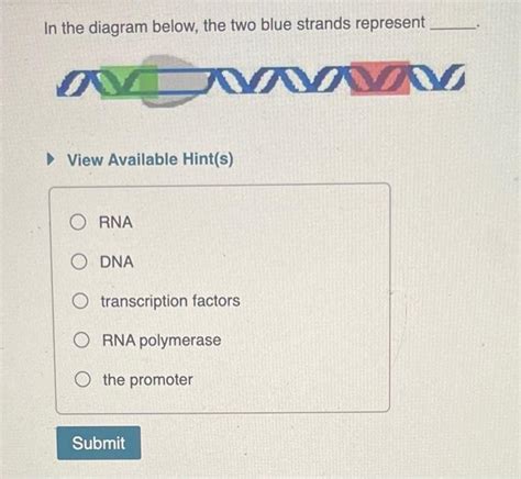 Solved In The Diagram Below The Gray Unit Represents RNA Chegg Com