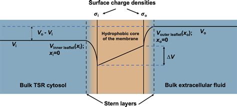 Surface Charge Density And Electric Potential In The Stern Layers