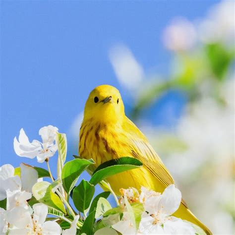 How To Make Dramatic Customizations To Photos Via Ai Functions By