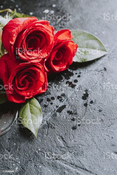 어두운 배경 열정 사랑 발렌타인 데이 인사말 카드 로맨틱 데이트 복사 공간에 고립 된 물 방울과 빨간 장미 검은색에 대한 스톡 사진 및 기타 이미지 Istock