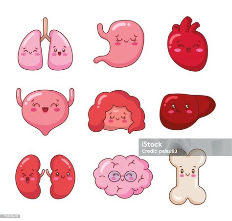 귀여운 만화 웃는 인간 장기 캐릭터 카와이 폐 위 심장 방광 장 간 신장 뇌 뼈 얼굴 손으로 그린 스타일입니다 벡터 그리기 디자인 요소 모음 가공의 인물에 대한 스톡 벡터
