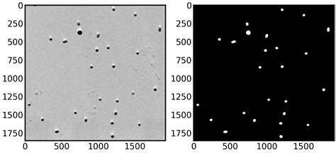 Particle Analysis Tutorial — Simplipytem 108 Documentation