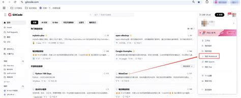 Notebook GitCode 帮助文档