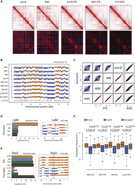 Cell Of Origin Specific 3d Genome Structure Acquired During Somatic