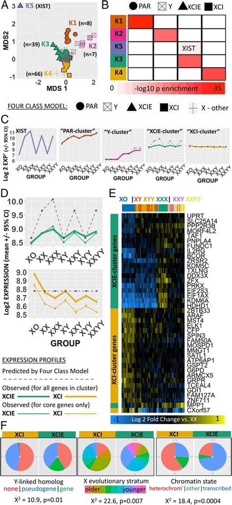 Sex Chromosome Dosage Effects On Gene Expression In Humans PNAS