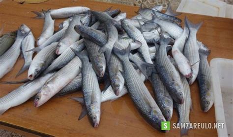 მოხარშული ცოცხალი თევზი ტრადიციული რეცეპტით Samzareulo Net რეცეპტები Receptebi Kulinaria