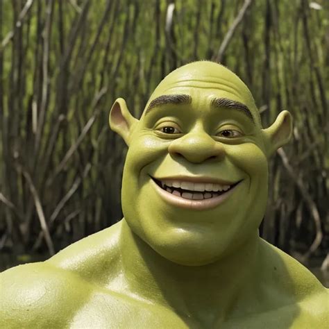 Chat With Shrek Text Or Voice Enjoy Ai Chat Free And Safe