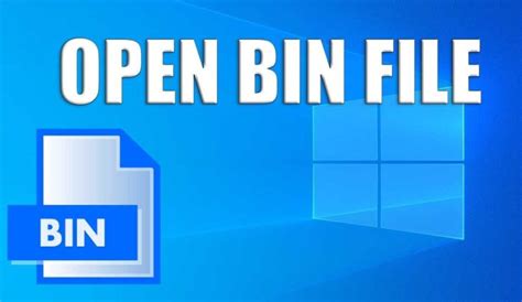 How To See Bin Files At Nancy Langley Blog