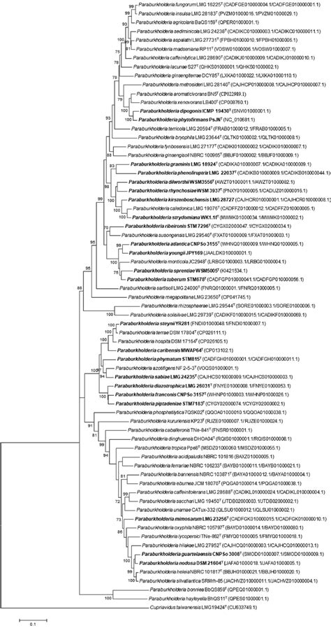 Maximum Likelihood Ml Phylogeny Based On The Concatenated Gene Download Scientific Diagram