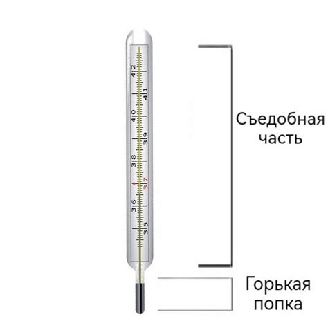 ﻿Съедобная часть Горькая попка / Приколы для даунов :: градусник ...