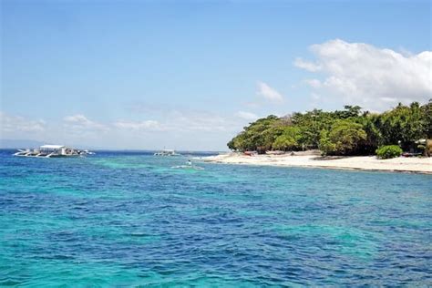 Bohol Balicasag Island Tour Private With Lunch In Balicasag Island Pelago