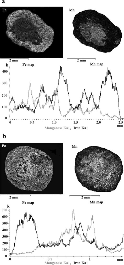 Elemental Distribution Maps And Relationships Between The Download Scientific Diagram