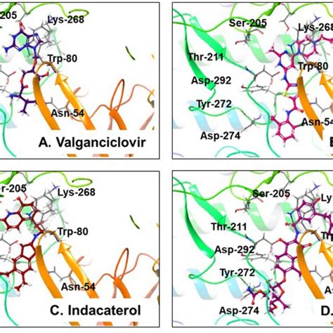 Various Ligand Protein Interactions Displayed By Top 4 Molecules With Download Scientific