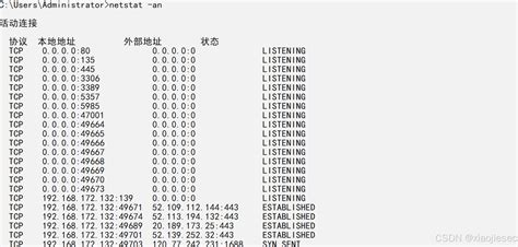 第158天：安全开发 Python Socket编程and反弹shelland分离免杀and端口探针and域名爆破端口反弹rtcppy脚本 Csdn博客