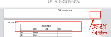 页码显示问题 · Issue 1378 · Jeecgbootjimureport · Github