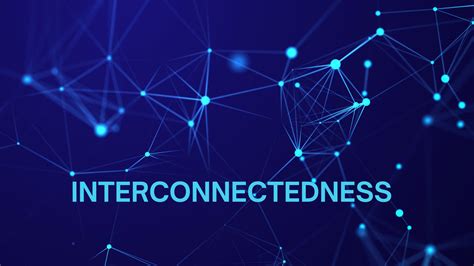 Interconnectedness 2024 Mindfulness And Emotional Intelligence