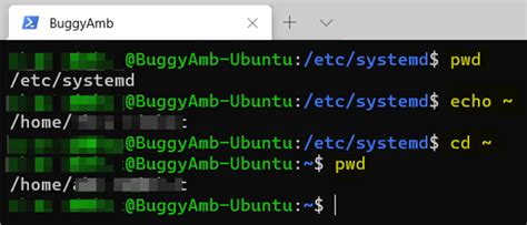 The Linux Directories Users And Package Managers Aspnet Core