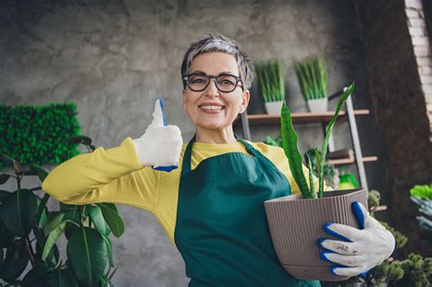 연금 수령자 숙녀 플로리스트 보류 관엽 식물 엄지 손가락 찬성하다 입고 있다 녹색 앞치마 일 꽃집 스튜디오 중소기업 50 54세에 대한 스톡 사진 및 기타 이미지 Istock