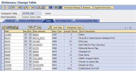 Reading And Writing Data In Cluster Table Sap Community
