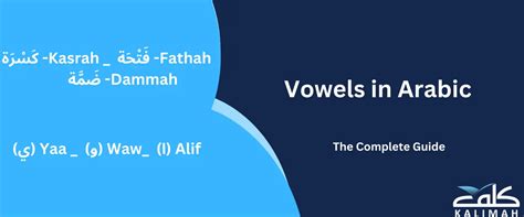 All Vowels In Arabic Explained With Examples Kalimah