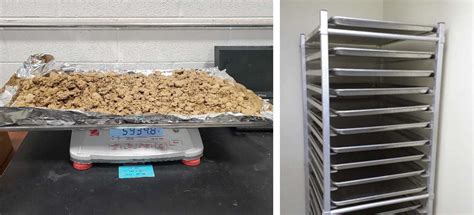 using incremental sampling methodology ism to optimize sample integrity