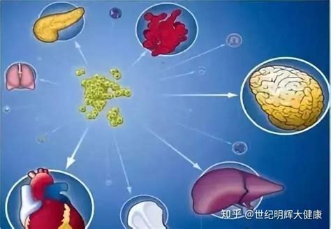 干细胞有多聪明，你可能想不到 知乎