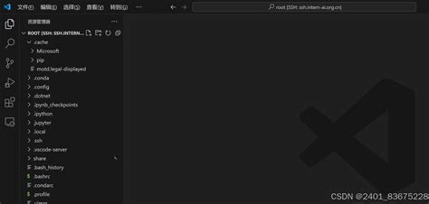第四期书生大模型实战训练营入门岛第一关linux 基础知识 Csdn博客 第四期书生大模型实战训练营入门岛第一关linux 基础知识 Csdn博客