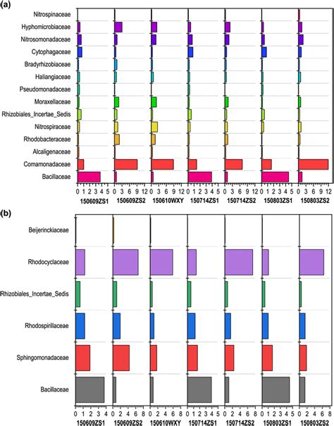 Abundances Of Potential A Nitrifying And Denitrifying Bacteria And