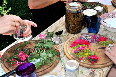 H Ngende G Rten Der Sulamith Kr Uterf Hrung In St Kathrein Am