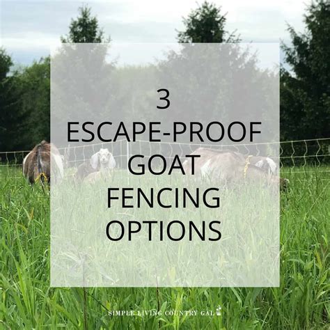 Escape Proof Goat Fencing Simple Living Country Gal