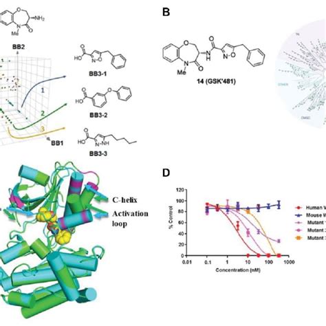 A Primary Hits From Dna Encoded Library Screen Of A Three Cycle
