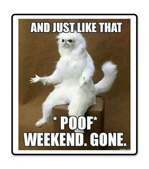 sej chawla posted on linkedin