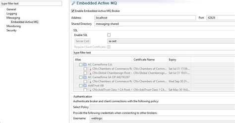 Code Confuse Oracle Api Gateway Enable Embedded Jms In Oag