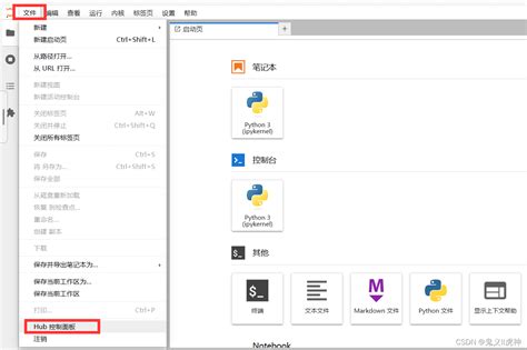 使用docker安装jupyterhubjupyterhub Docker Csdn博客