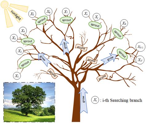 Mathematics Free Full Text Crown Growth Optimizer An Efficient Bionic Meta Heuristic