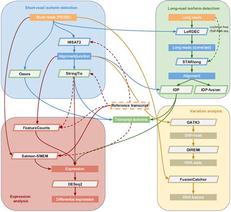 转录组分析工具评估 知乎