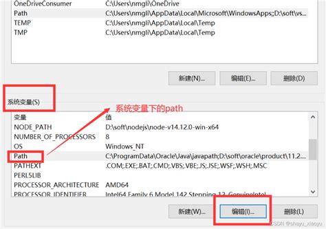 win10下mysql5 8安装详解，配有视频版 csdn博客