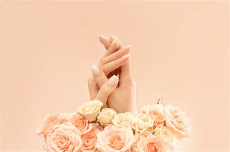 장식 디자인에 대 한 파스텔 배경에 차 장미를 들고 여성 손 빈티지 핑크 기프트 카드 플랫 레이 스타일 공간을 복사합니다 개념에