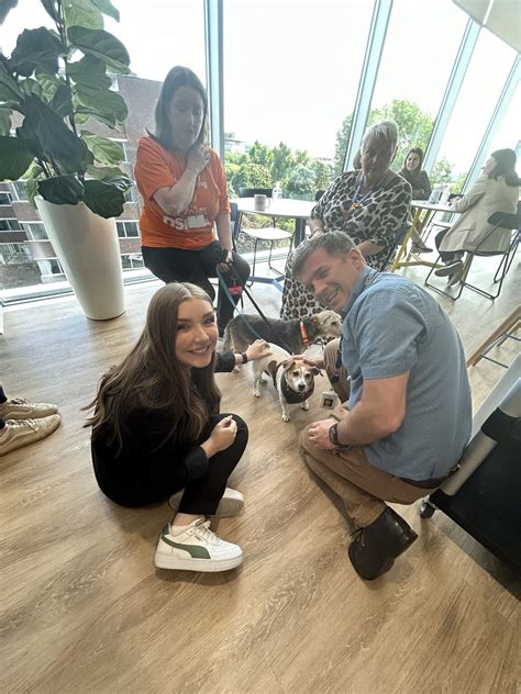 Ciara Wallace On Linkedin Regenerondublin Pride Dspca Community