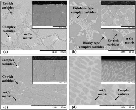 Surface Sem Micrographs With Corresponding Cross Sectional Views Download Scientific Diagram