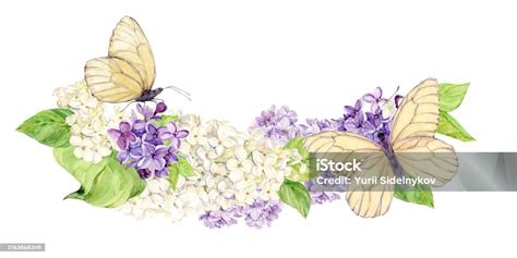 라일락의 수채화 그림입니다 흰색과 보라색 주사기의 꽃다발 잎 꽃 새싹이 있습니다 향기로운 봄 꽃과 나비 결혼 초대장 인사말 카드에 대 한 고립 된 배경 개화에 대한 스톡